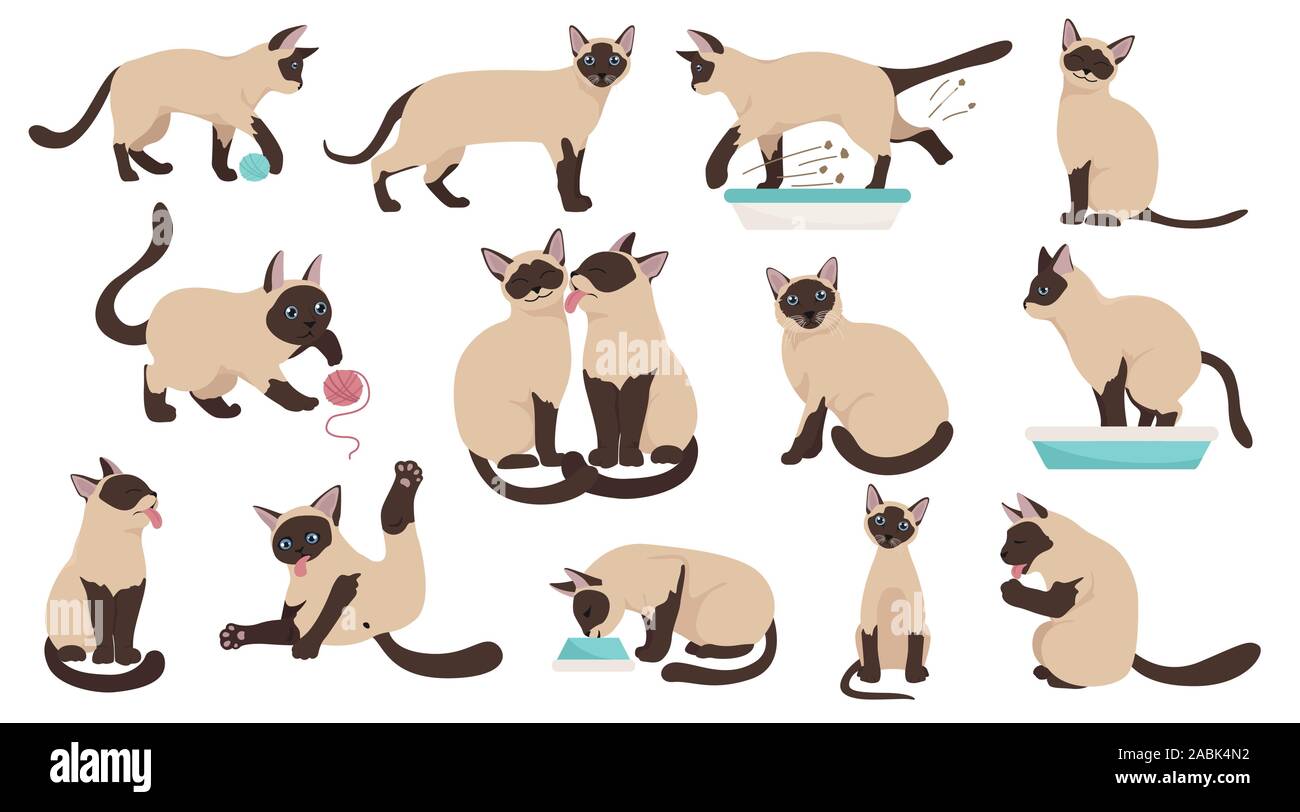 Cartoon cat characters collection. Different cat`s poses, yoga and ... Cartoon cat characters collection. Different cat`s poses, yoga and ...
